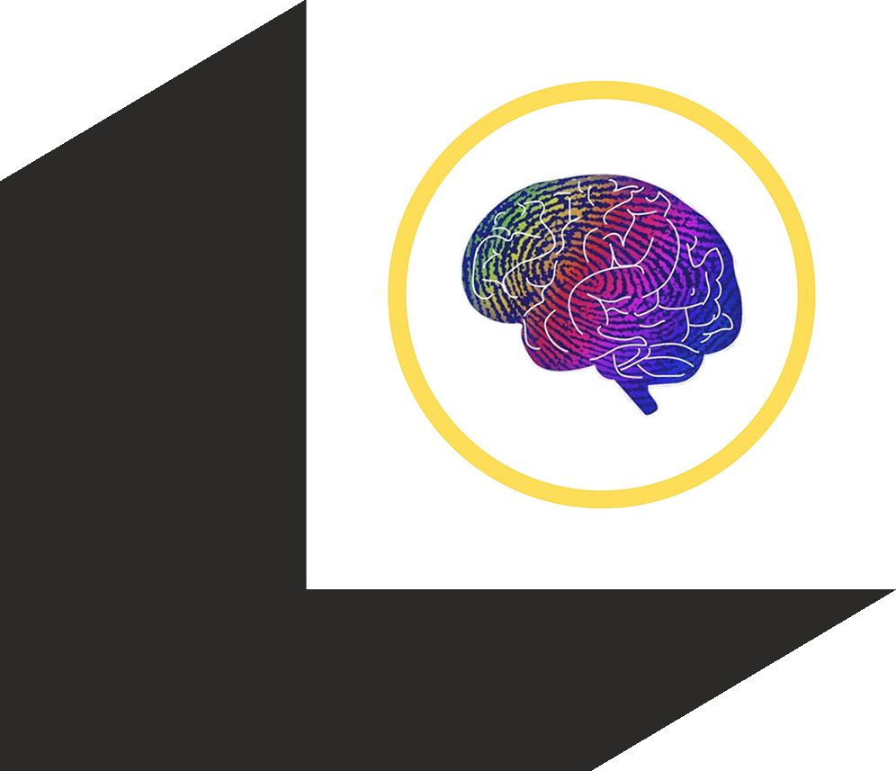 Neuroteachers | Belonging Effect